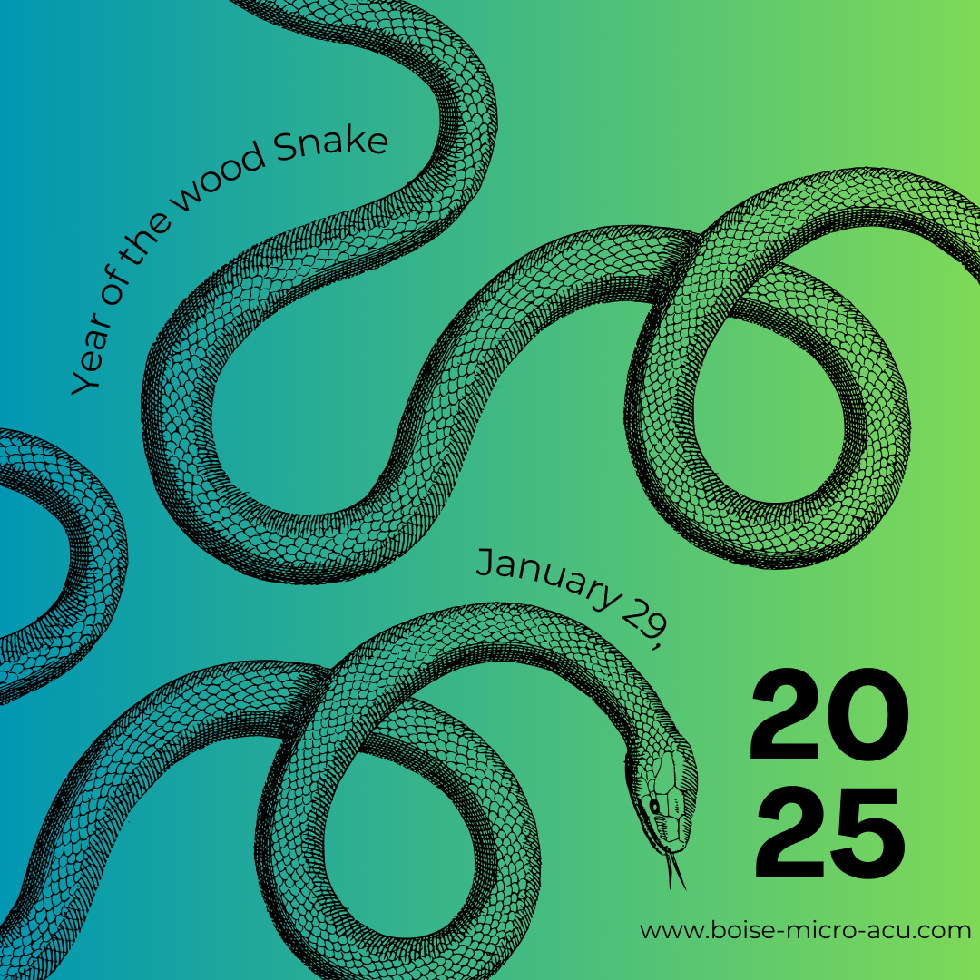 Shedding Your Skin: Stepping Into the Year of the Wood Snake ...